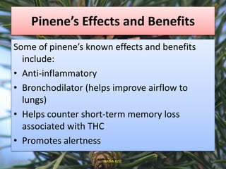 Pinene | PPTX