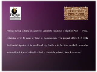 Prestige Pine Wood | PPTX