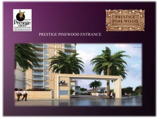 Prestige Pine Wood | PPTX