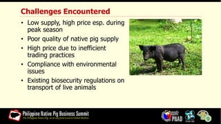 Benefits and Market Potential of Native Pig Lechon Processing and ...