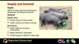 Benefits and Market Potential of Native Pig Lechon Processing and ...