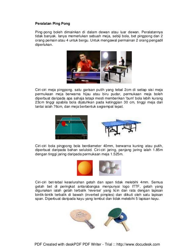 Pingpong(1)