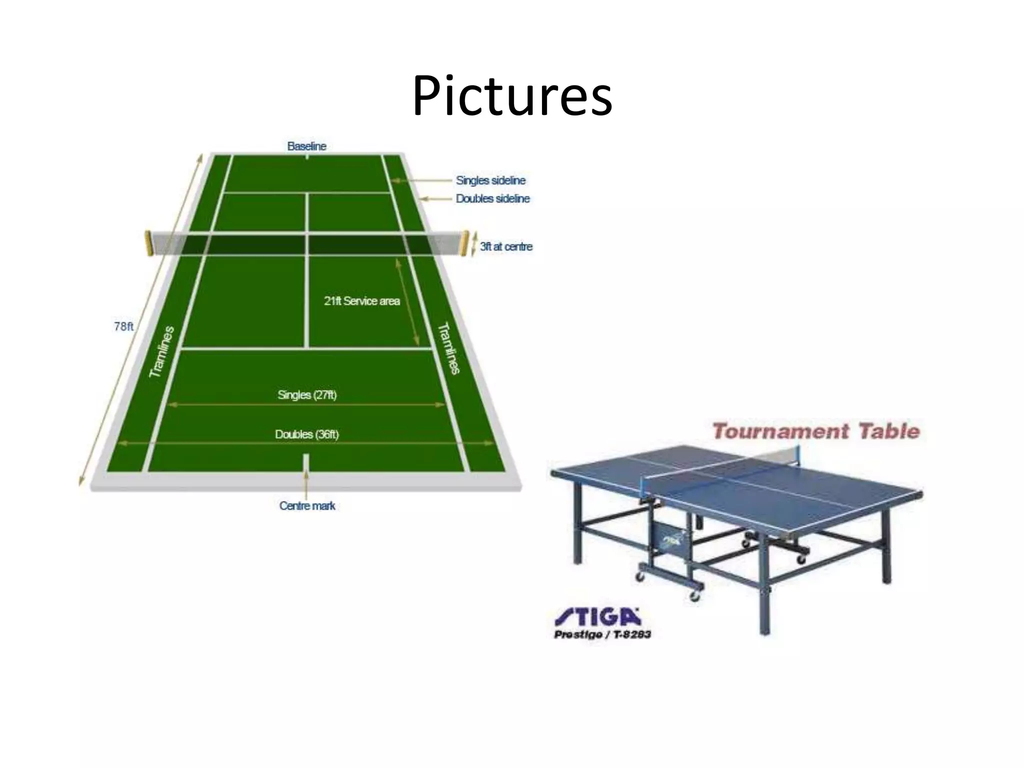 Ping pong vs tennis | PPTX | Table Tennis | Sports