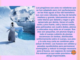 Pinguino | PPTX