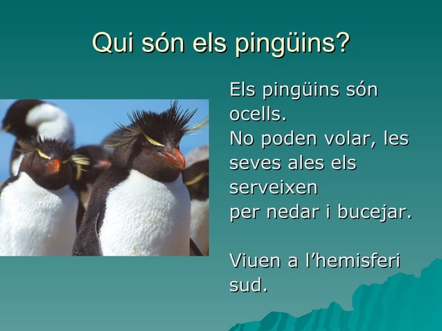 Pinguins | PPT