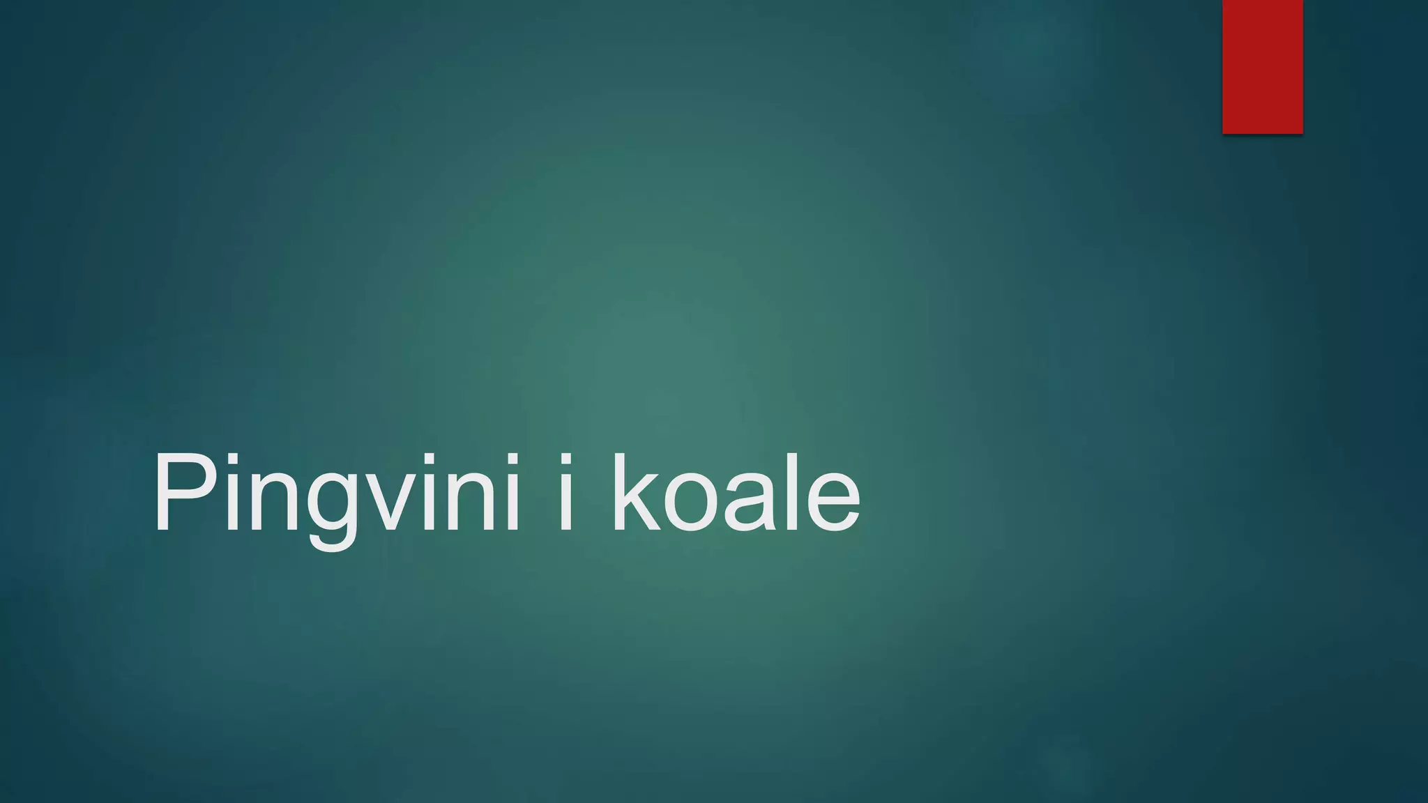 Pingvini i koale | PPT