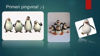 Pingvini i koale | PPTX