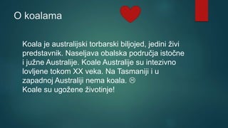 Pingvini i koale | PPTX