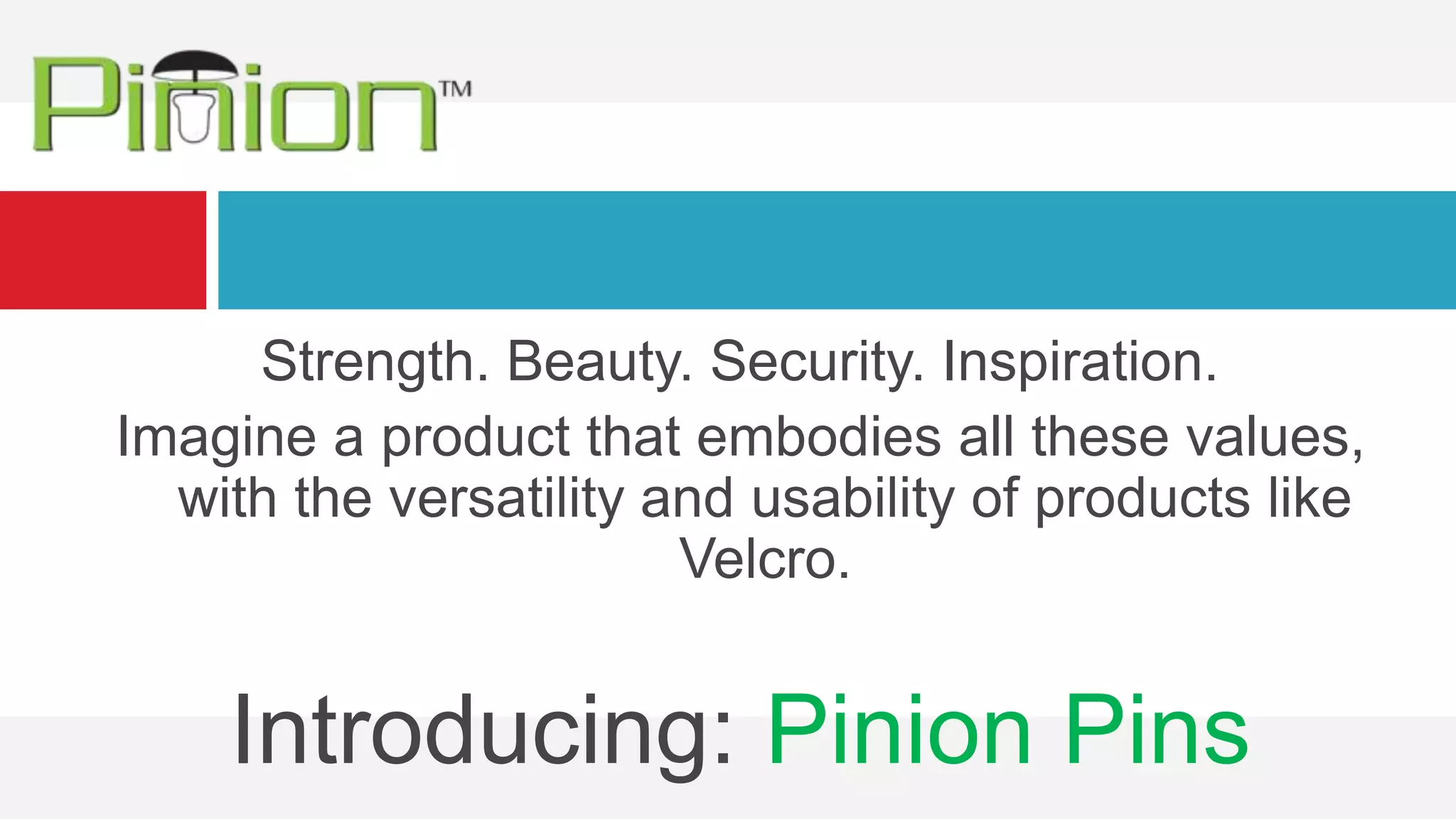 Pinion Pins presentation | PPTX