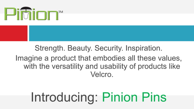 Pinion Pins presentation | PPTX
