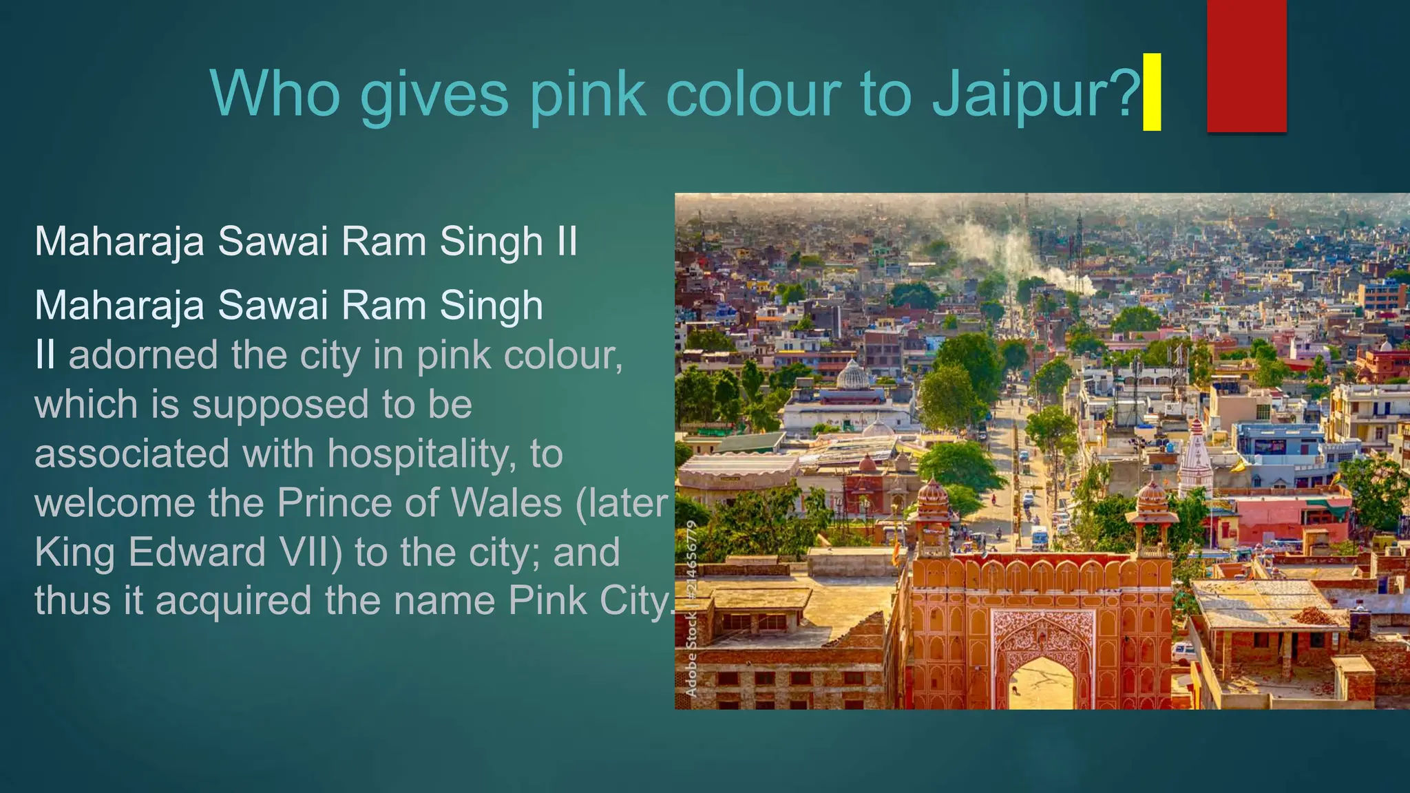 PINK CITY.pptx