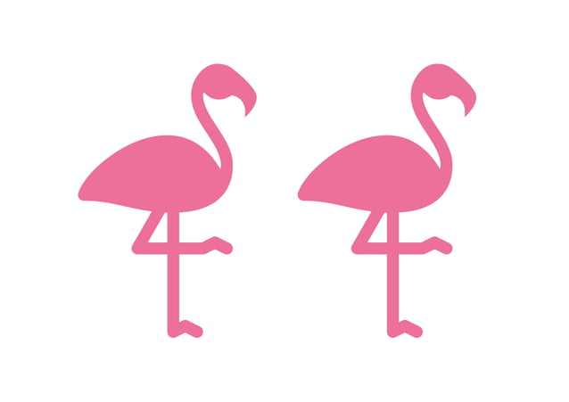 Pink Flamingo Theme Bulletin Board Kit.pdf