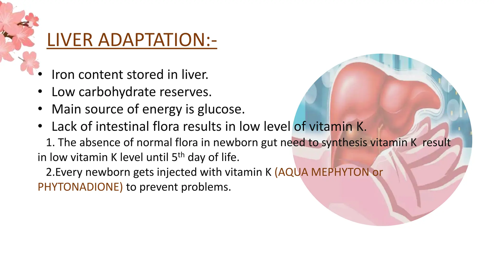 Adaptation in newborn from intrauterine to extrauterine | PPTX