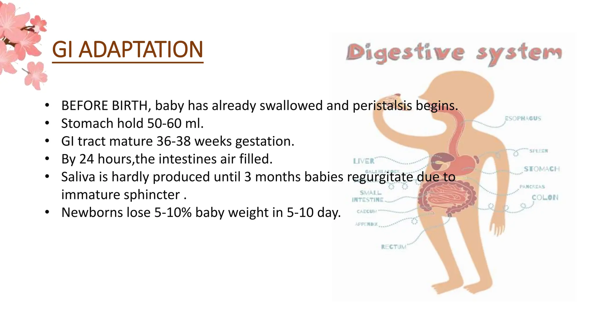 Adaptation in newborn from intrauterine to extrauterine | PPTX