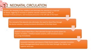 Adaptation in newborn from intrauterine to extrauterine | PPTX