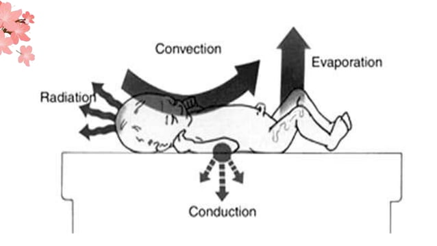 Adaptation in newborn from intrauterine to extrauterine | PPTX