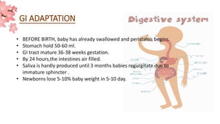 Adaptation in newborn from intrauterine to extrauterine | PPTX