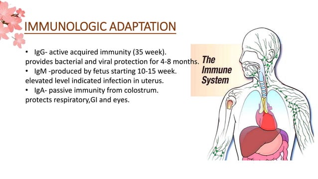 Adaptation in newborn from intrauterine to extrauterine | PPTX