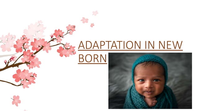 Adaptation in newborn from intrauterine to extrauterine | PPTX
