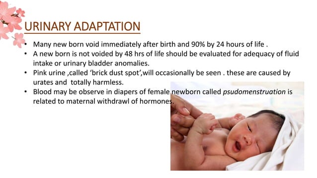 Adaptation in newborn from intrauterine to extrauterine | PPTX