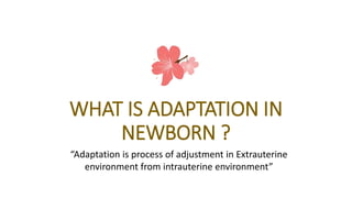 Adaptation in newborn from intrauterine to extrauterine | PPTX