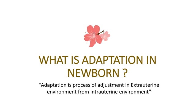 Adaptation in newborn from intrauterine to extrauterine | PPTX