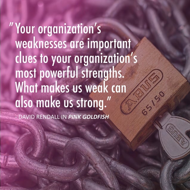 Pink Goldfish Strengths and Weaknesses Assessment | PDF