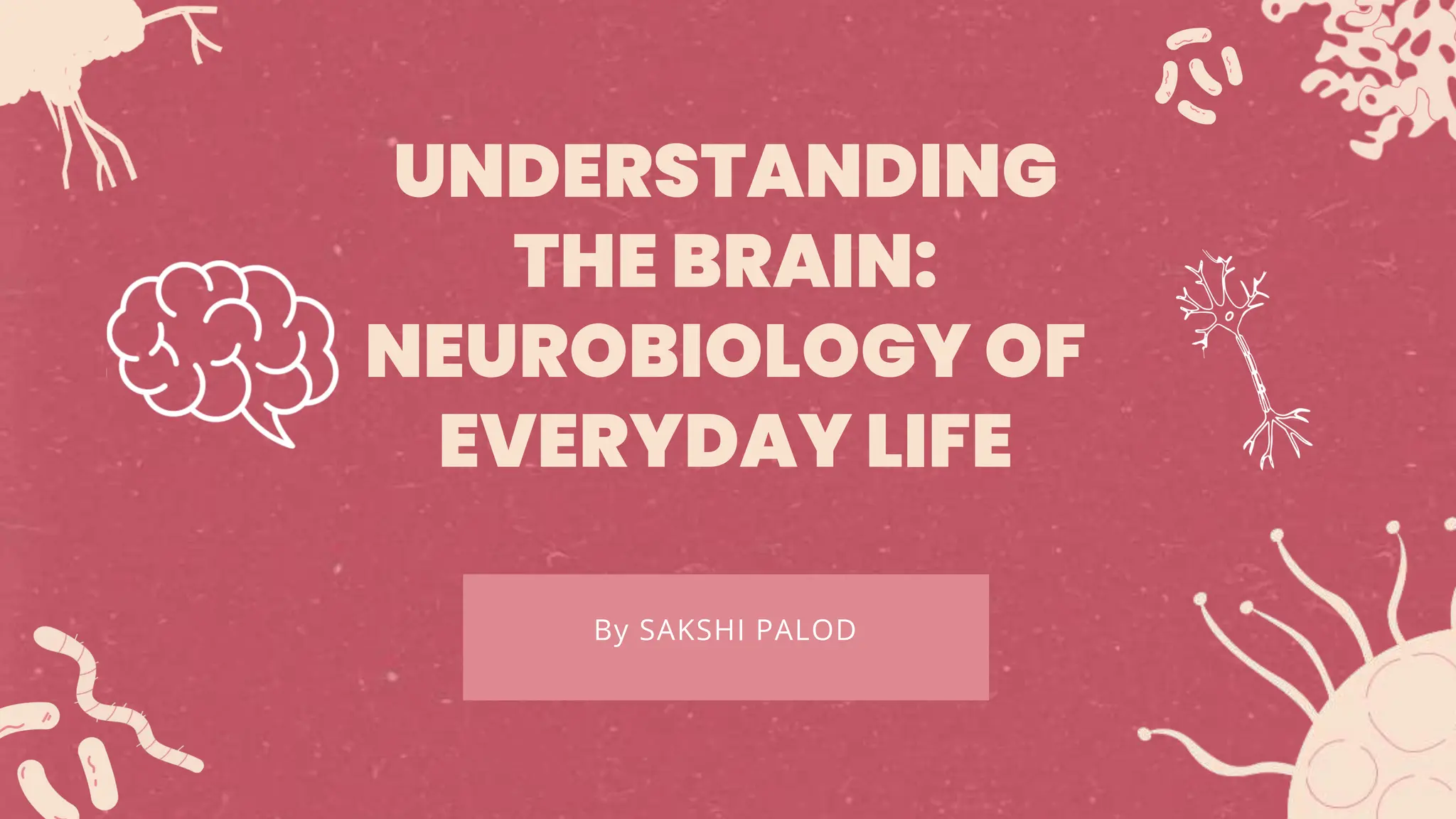 neurobiology of brain and everyday behaviour | PPTX