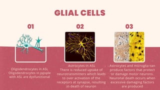 neurobiology of brain and everyday behaviour | PPTX