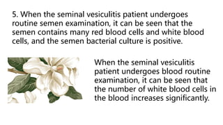 Pink or red semen may indicate seminal vesiculitis! | PPT