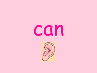 Pink Words With Sounds | PPT