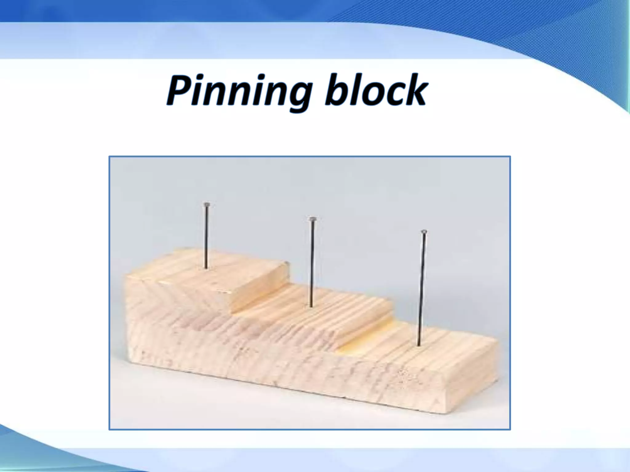 Pinning insect | PPTX