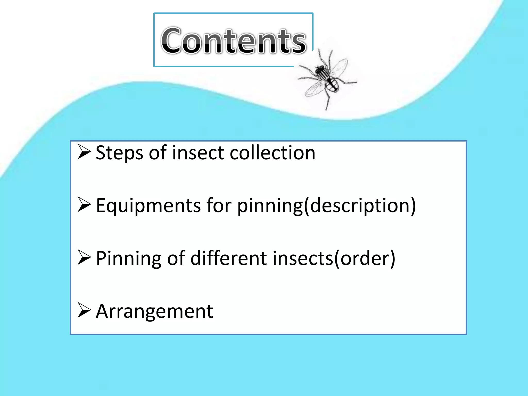 Pinning insect | PPTX