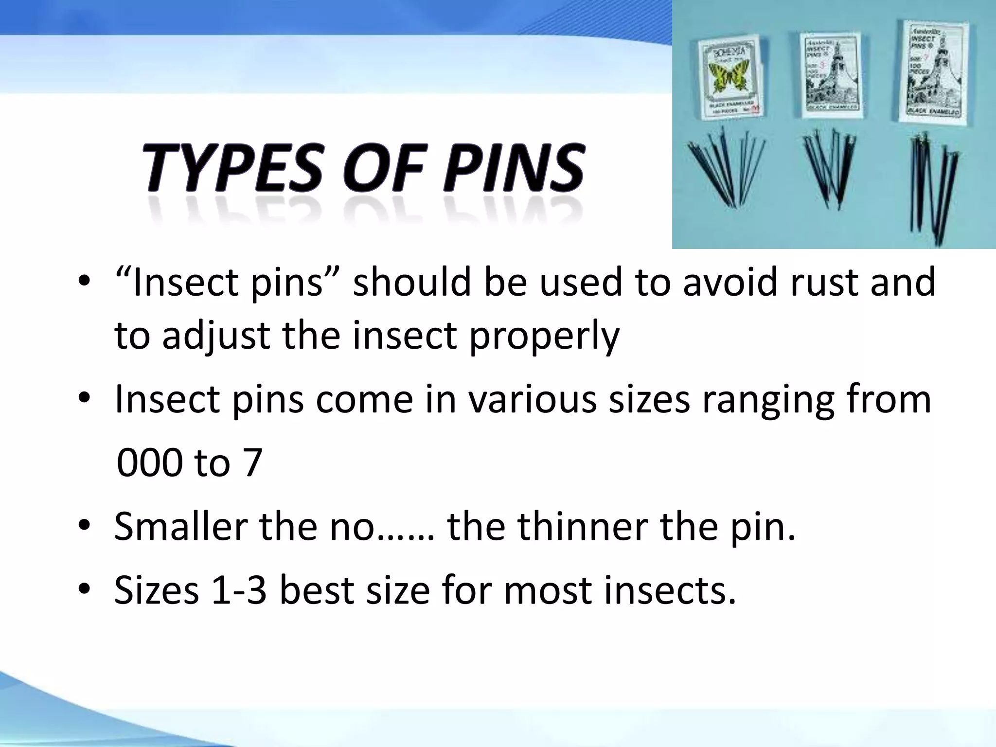Pinning insect | PPTX