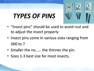 Pinning insect | PPTX
