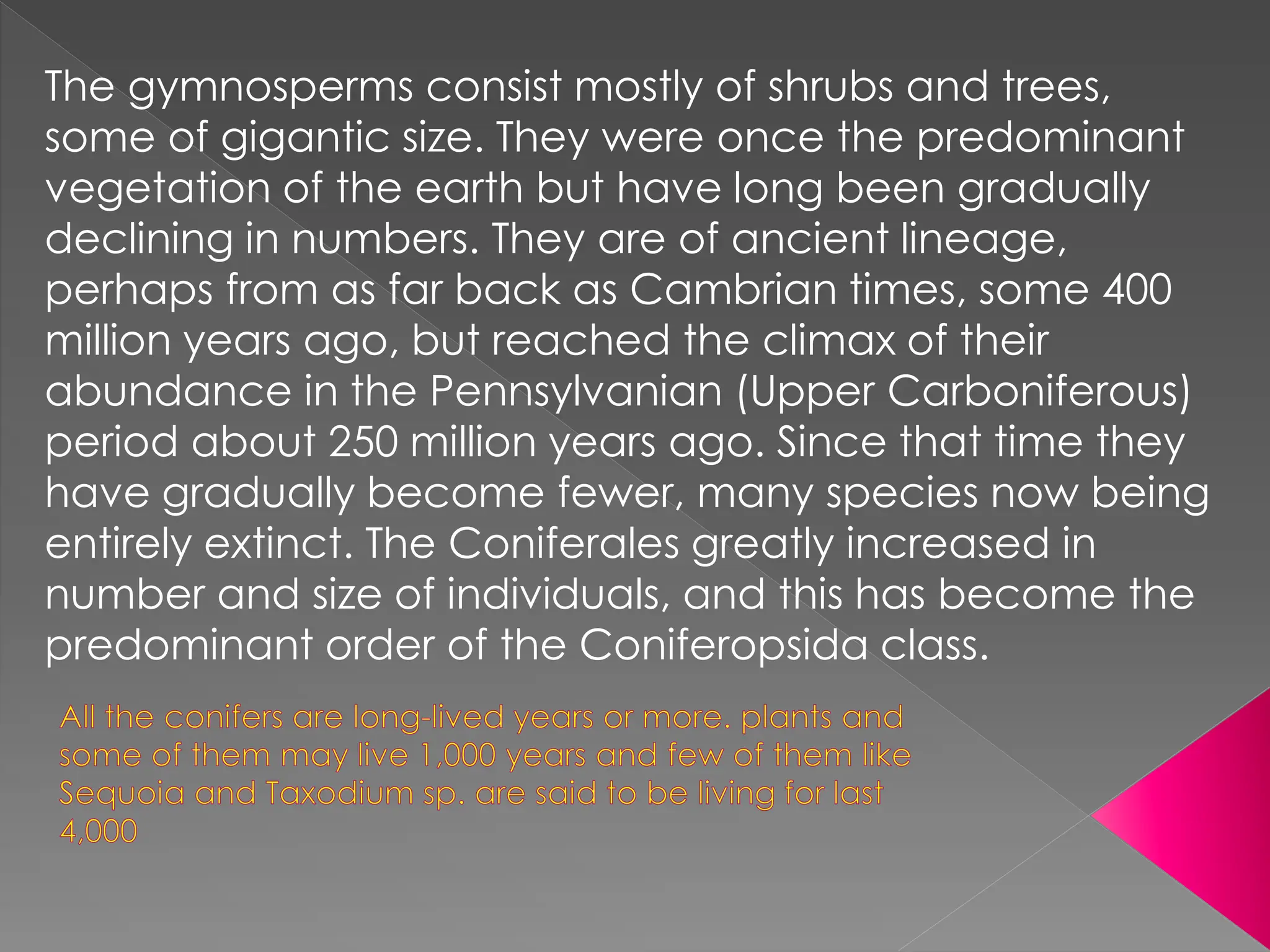 Pinopsida class-compressed.pdf human evolutuon | PDF