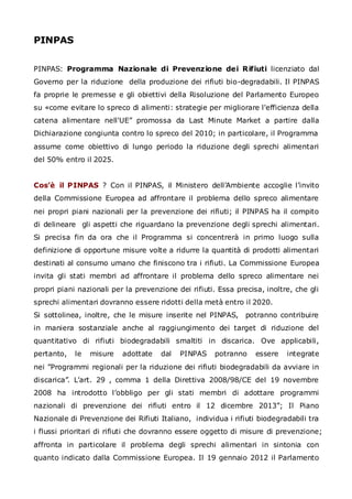 Pinpas | PDF