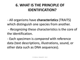 Pin plant identification methodology | PPTX