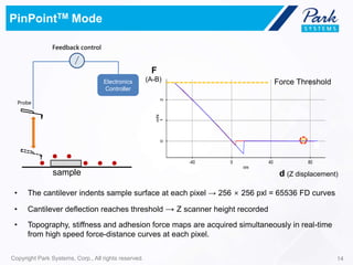 Park Systems Pin point presentation | PPTX