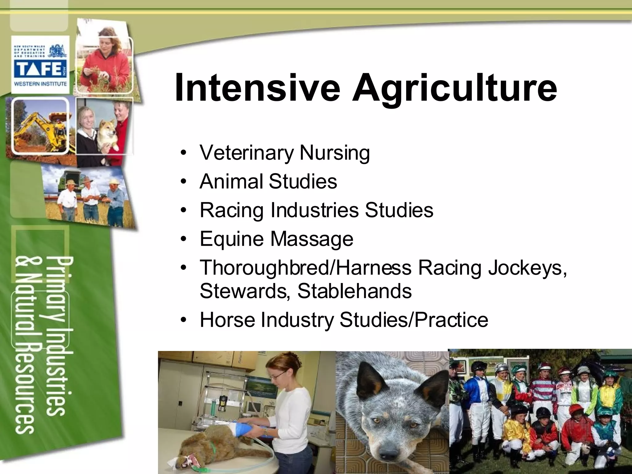 PINR Presentation For Online | PPT