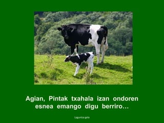 Pinta, gure behia | PPTX