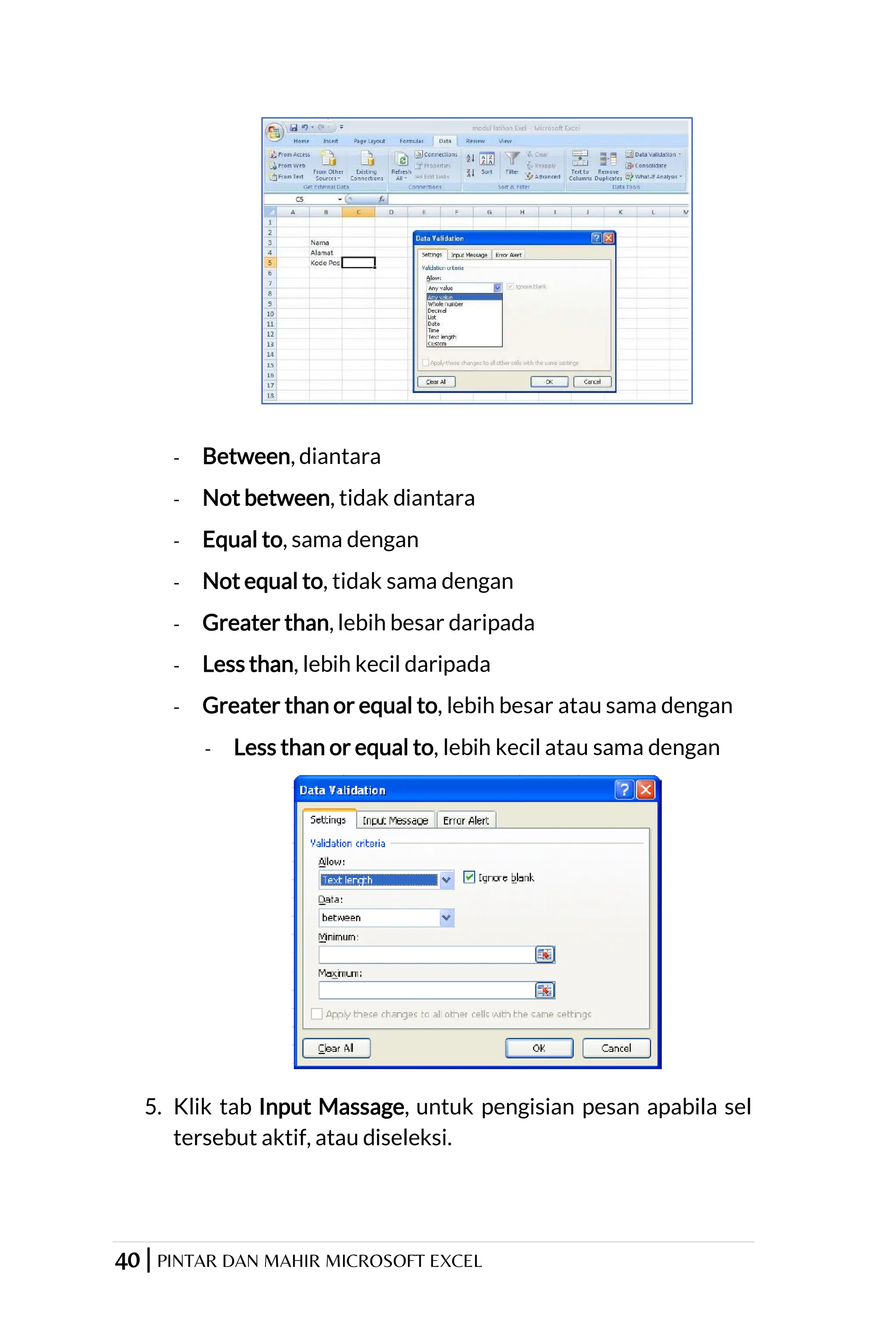 BUKU PINTAR DAN MAHIR MICROSOFT EXCEL.pdf