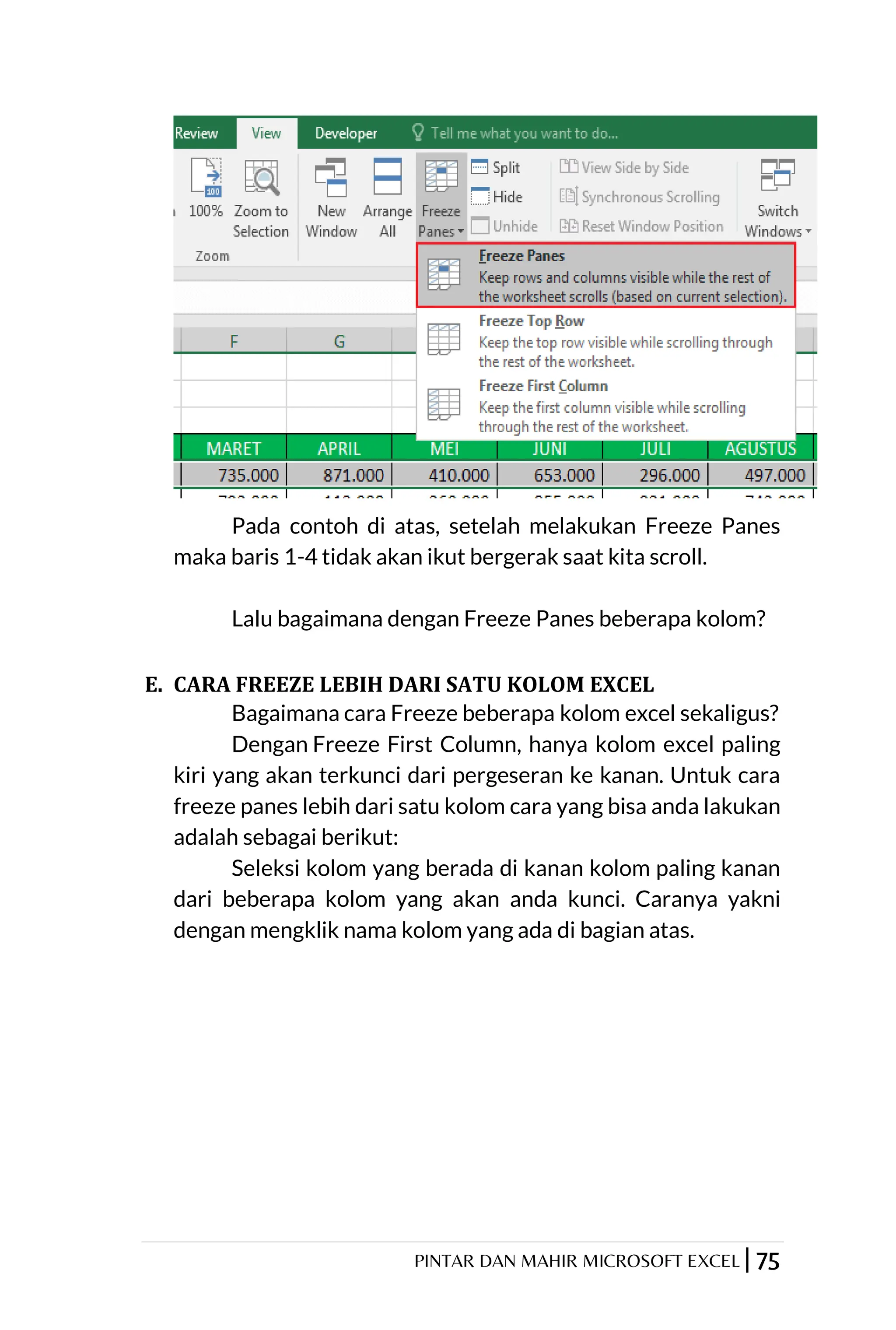 BUKU PINTAR DAN MAHIR MICROSOFT EXCEL.pdf