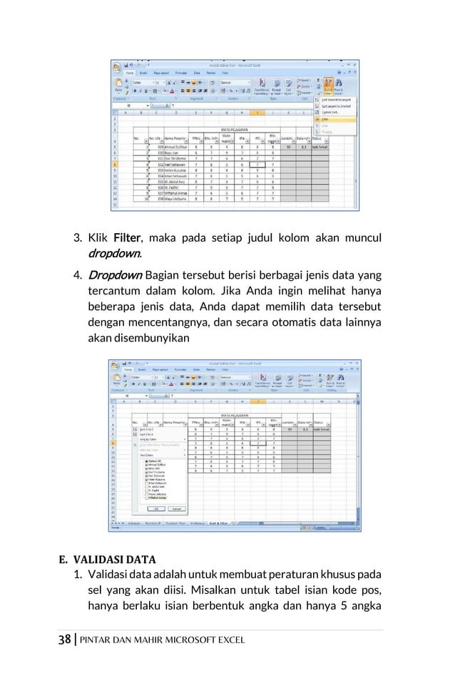 BUKU PINTAR DAN MAHIR MICROSOFT EXCEL.pdf