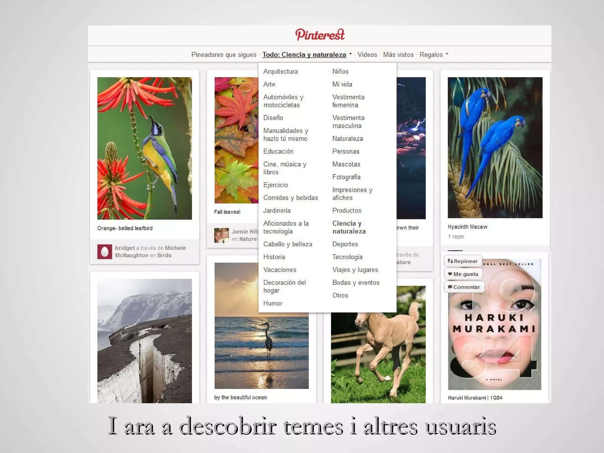 Iniciar-se a Pinterest | PPT