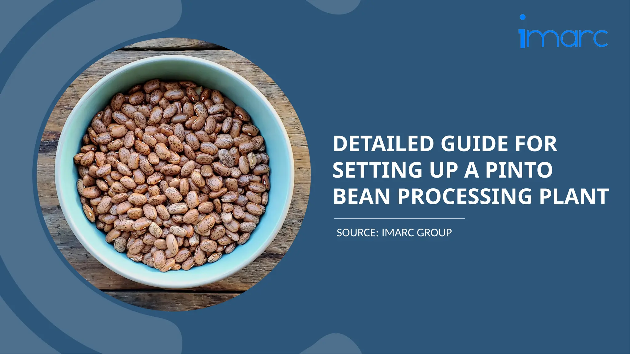 Pinto Bean Processing Plant Project Report-pptx | PPTX