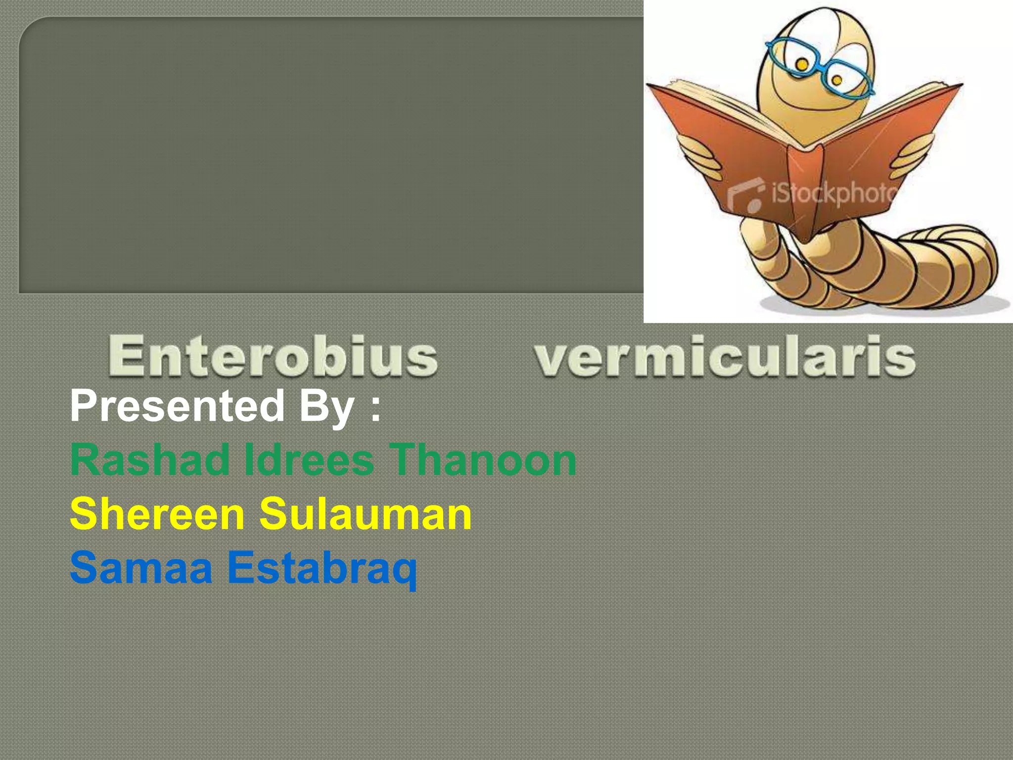 Pinworm | PPT | Infectious Diseases | Diseases and Conditions