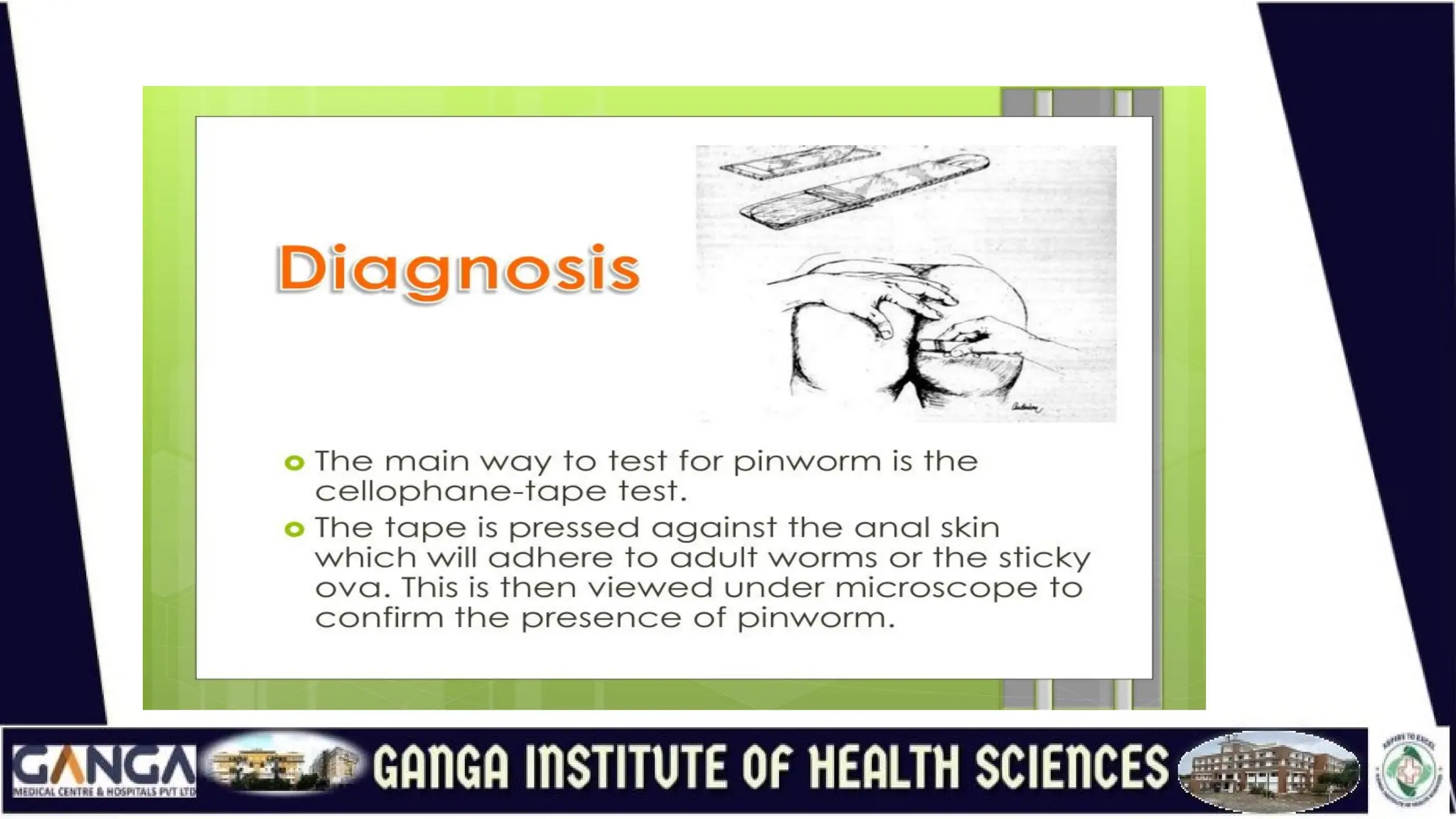 Pin Worms lifecycle, diagnostic method.pptx