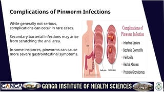 Pin Worms lifecycle, diagnostic method.pptx