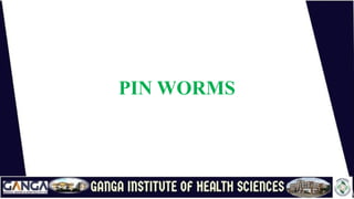 Pin Worms lifecycle, diagnostic method.pptx